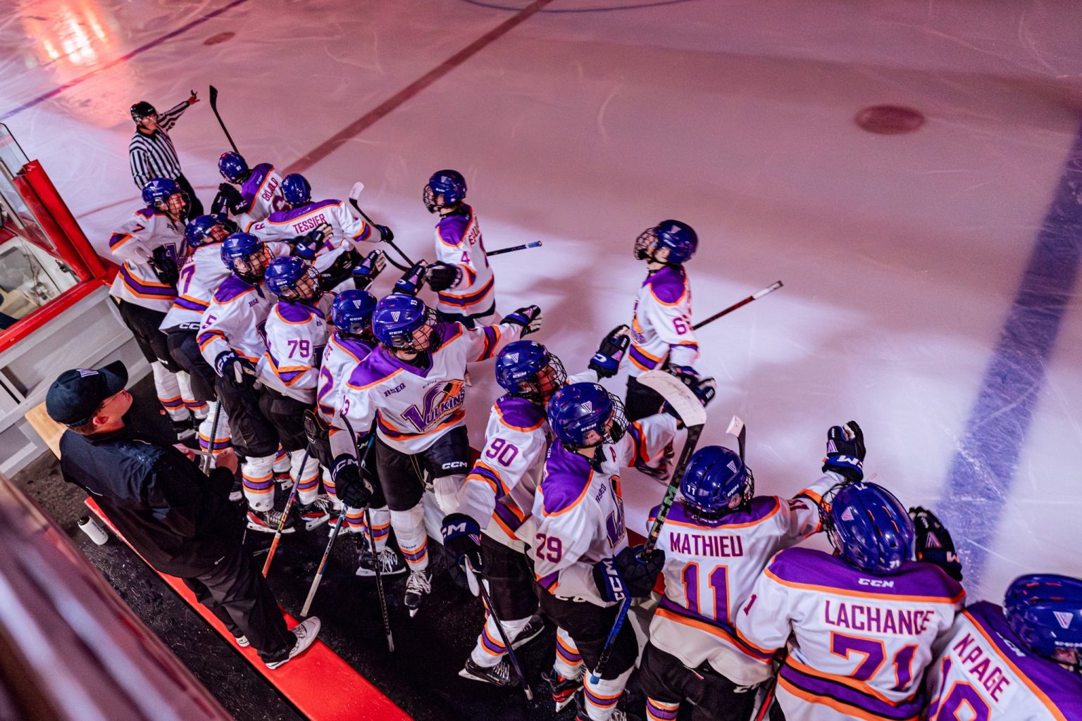 Les Mauves blanchissent les Dynamiques - La Nouvelle Union et L’Avenir ...