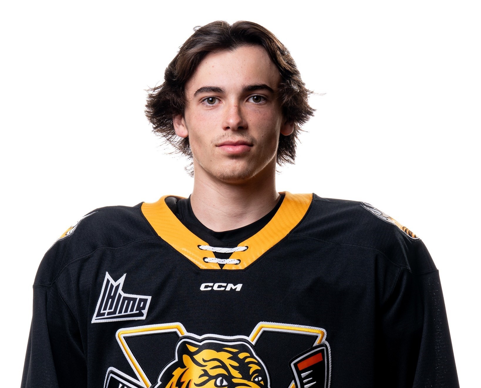 Houle et Monaco cédés au junior AAA - La Nouvelle Union et L’Avenir de ...