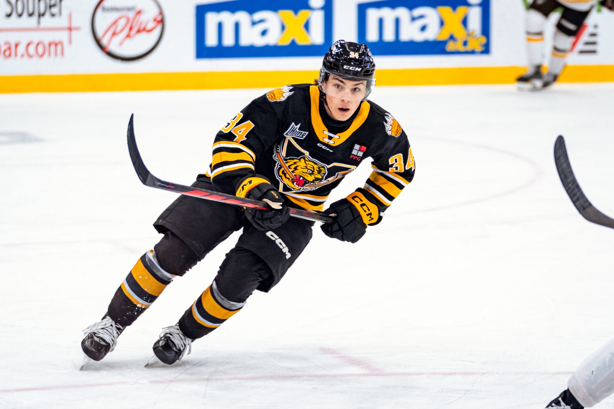 Après les Tigres, Enzo Lottin se joindra aux Mavericks - La Nouvelle ...