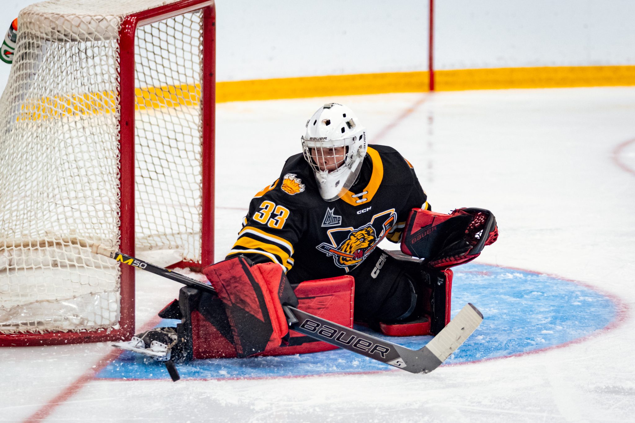 La fin pour Jakob Hanlan avec les Tigres cette saison - La Nouvelle ...