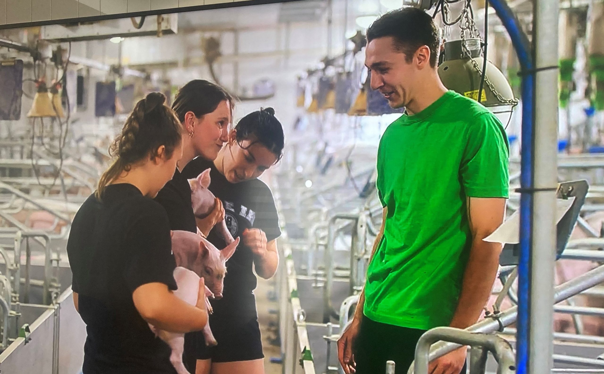 Joshua : le séjour à la ferme s'amorce pour les trois candidates - La ...