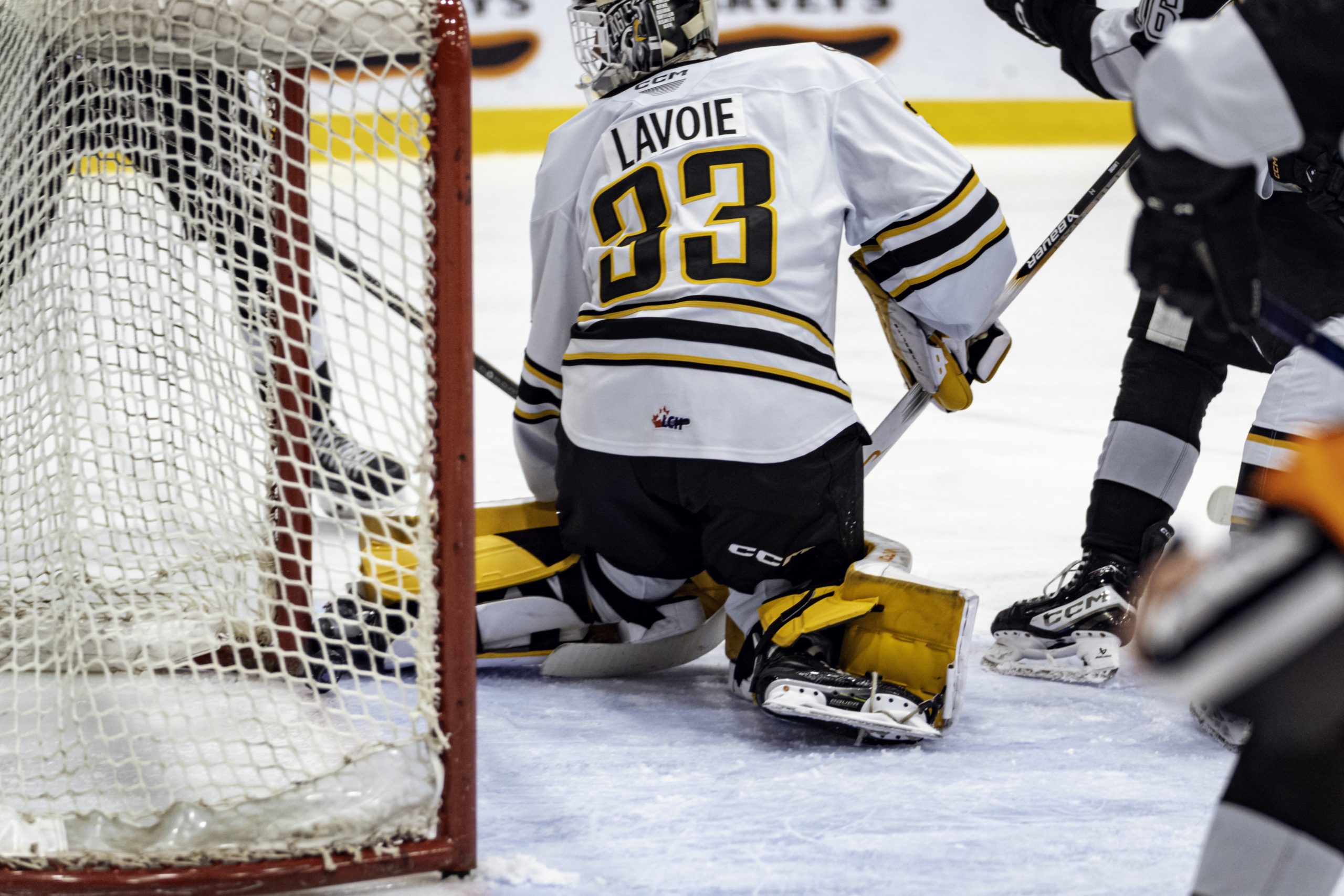 Brandon Lavoie quitte les Tigres - La Nouvelle Union et L’Avenir de l ...