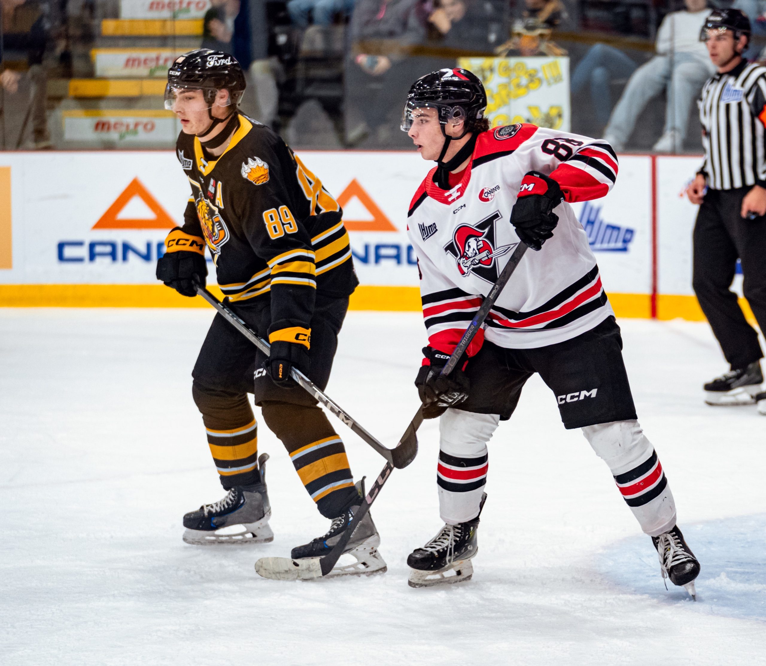 Mathis Aguilar sur la touche - La Nouvelle Union et L’Avenir de l’Érable
