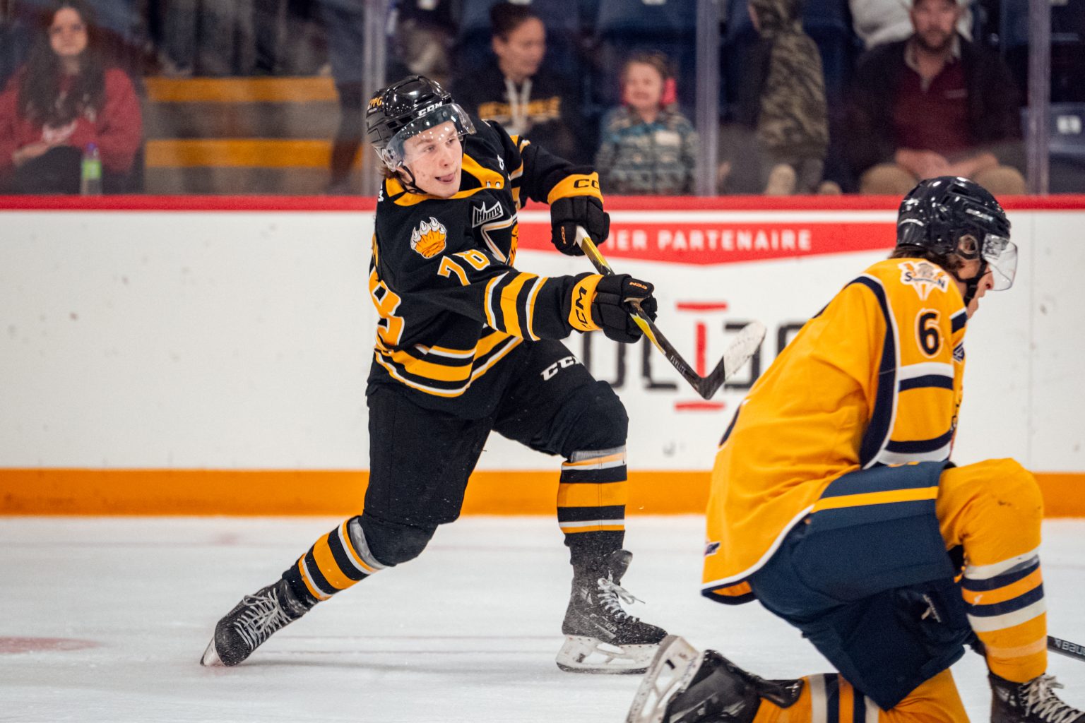 Tigres : les Russes s'imposent - La Nouvelle Union et L’Avenir de l’Érable