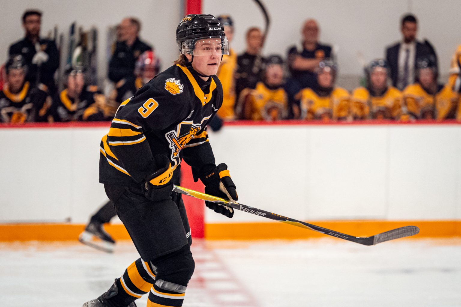 Match des espoirs de la LHJMQ : Egor Shilov sélectionné - La Nouvelle ...