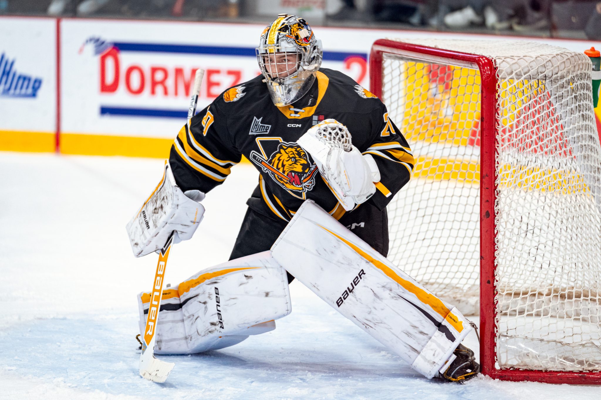 Camps de la LNH : 62 joueurs de la LHJMQ y participent - La Nouvelle ...