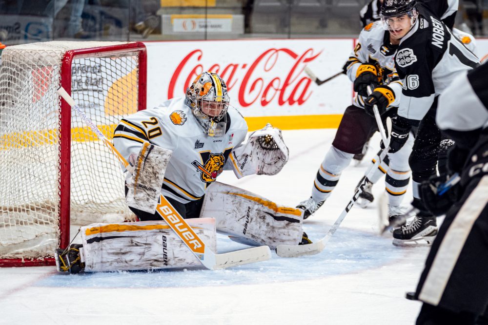 Les Tigres affrontent l'Armada - La Nouvelle Union et L’Avenir de l’Érable