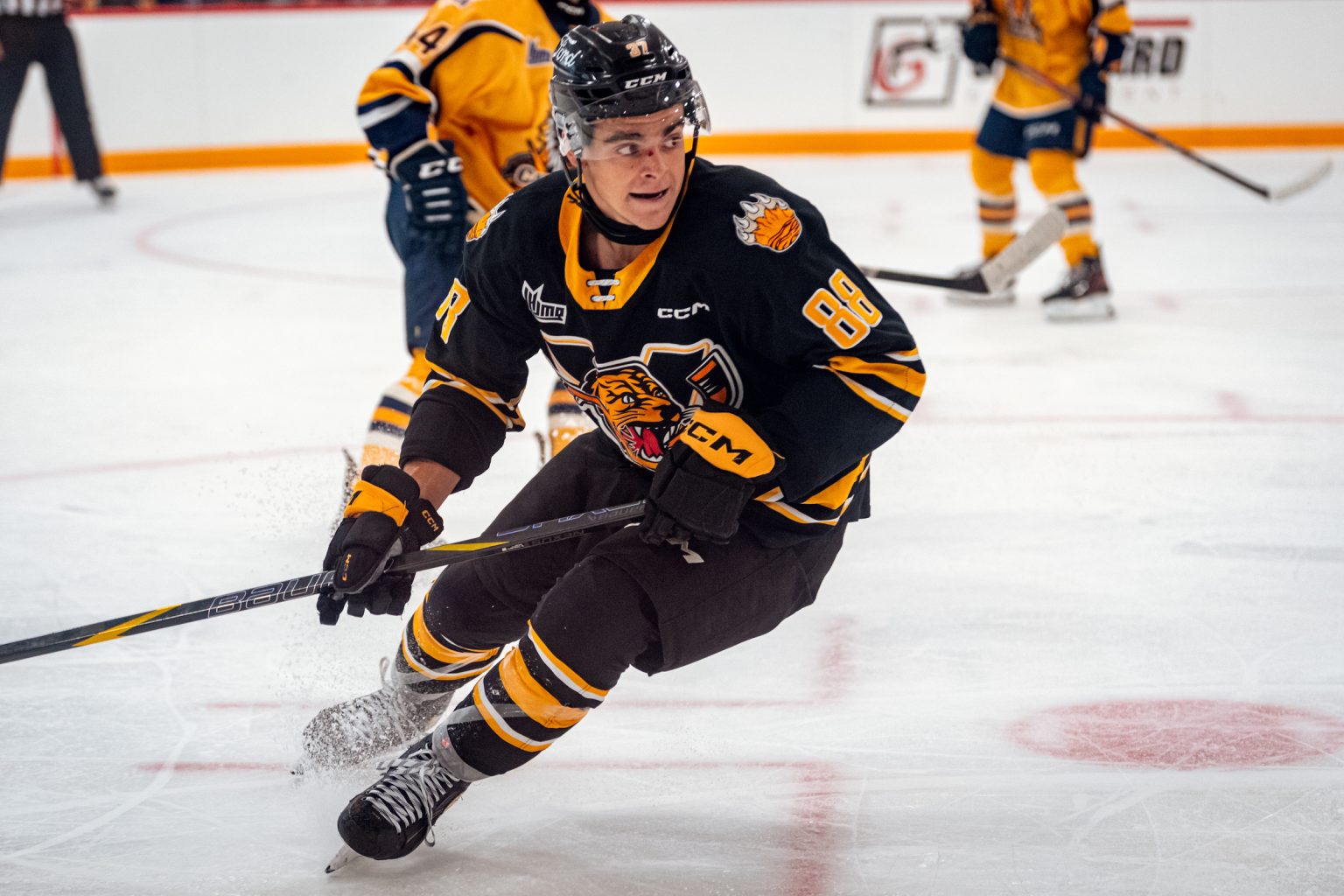 Les Tigres de passage à Rouyn-Noranda - La Nouvelle Union et L’Avenir ...