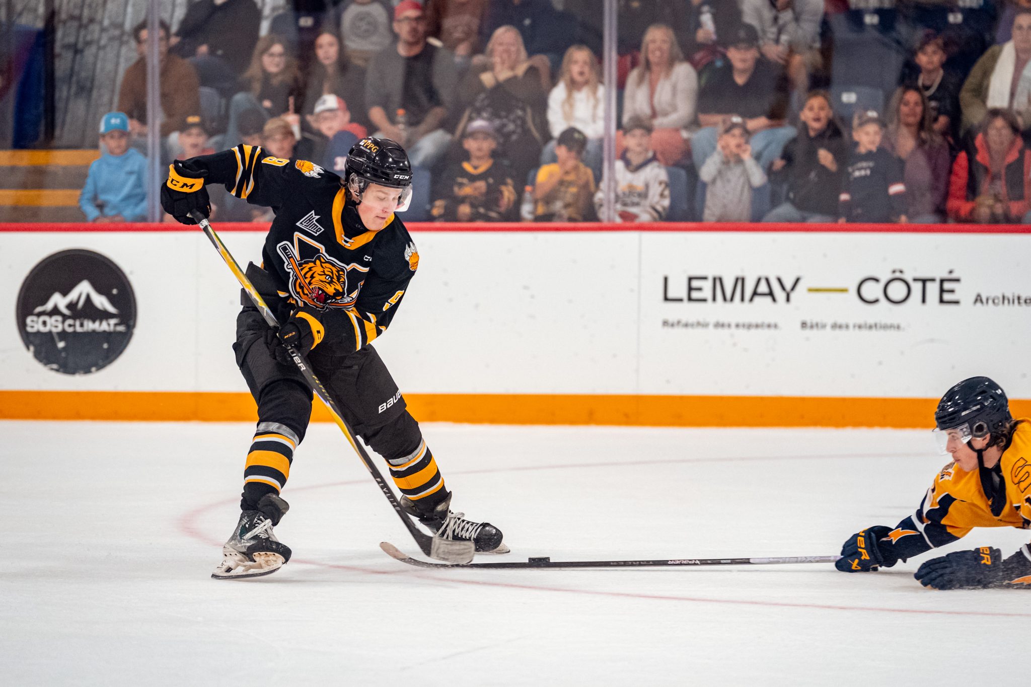 LHJMQ : Egor Shilov nommé sur l'Équipe de la semaine - La Nouvelle ...