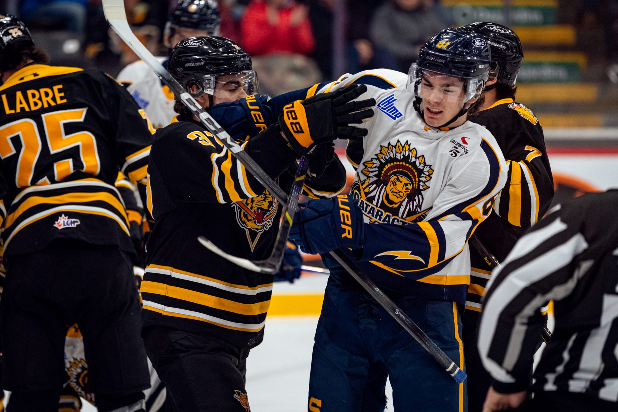 Les Tigres s'inclinent face aux Cataractes - La Nouvelle Union et L ...