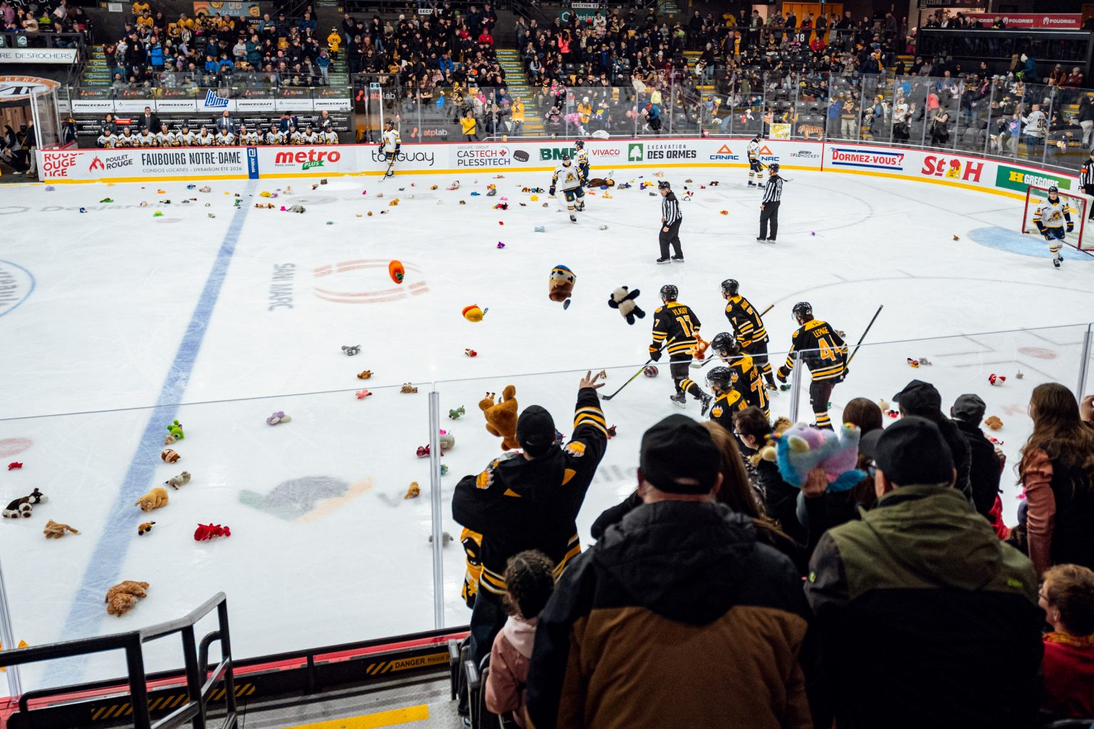 Les Tigres s'inclinent face aux Cataractes - La Nouvelle Union et L ...