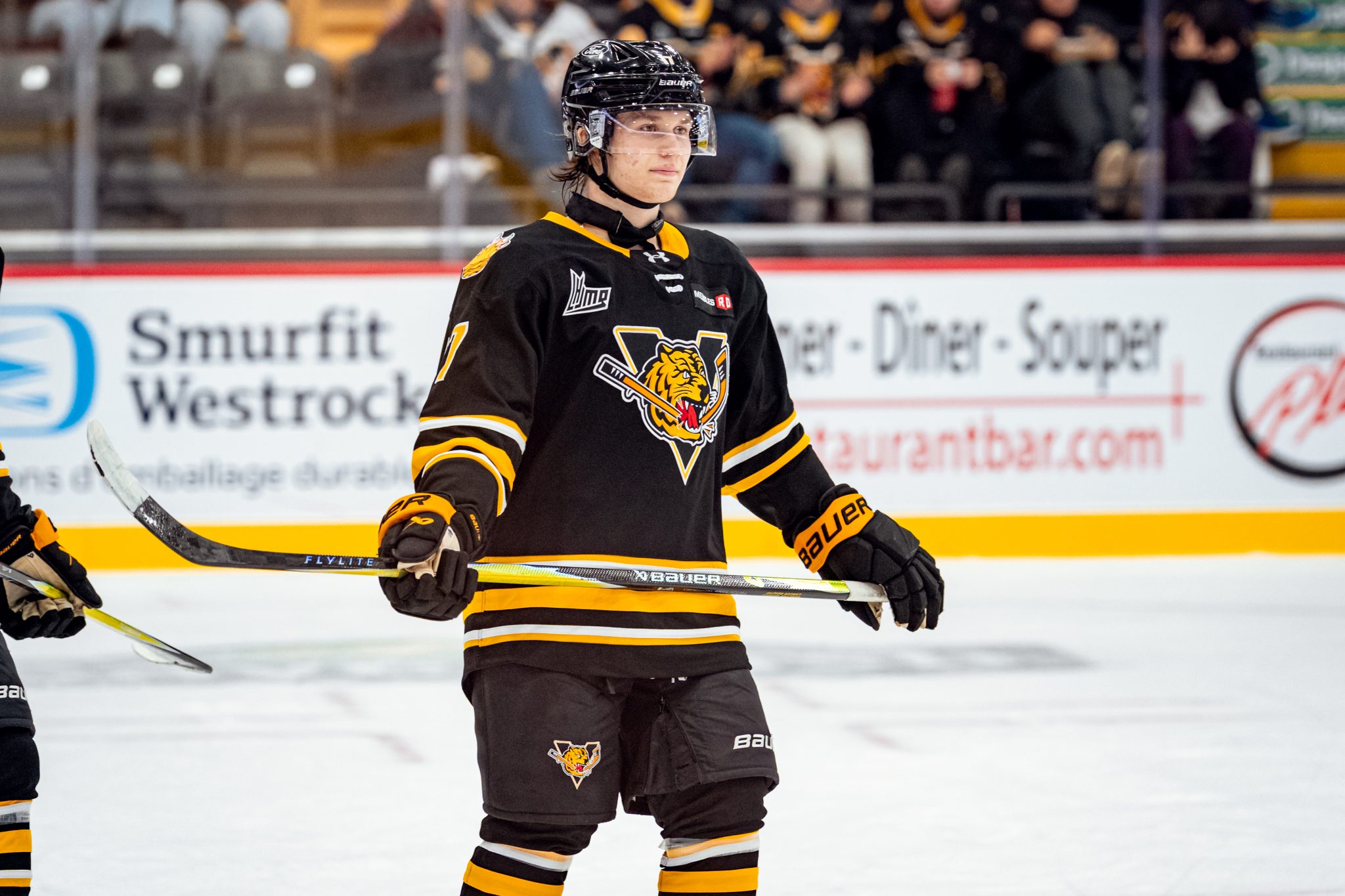 Alexey Vlasov nommé la recrue du mois d'octobre dans la LHJMQ - La Nouvelle Union et L’Avenir de ...