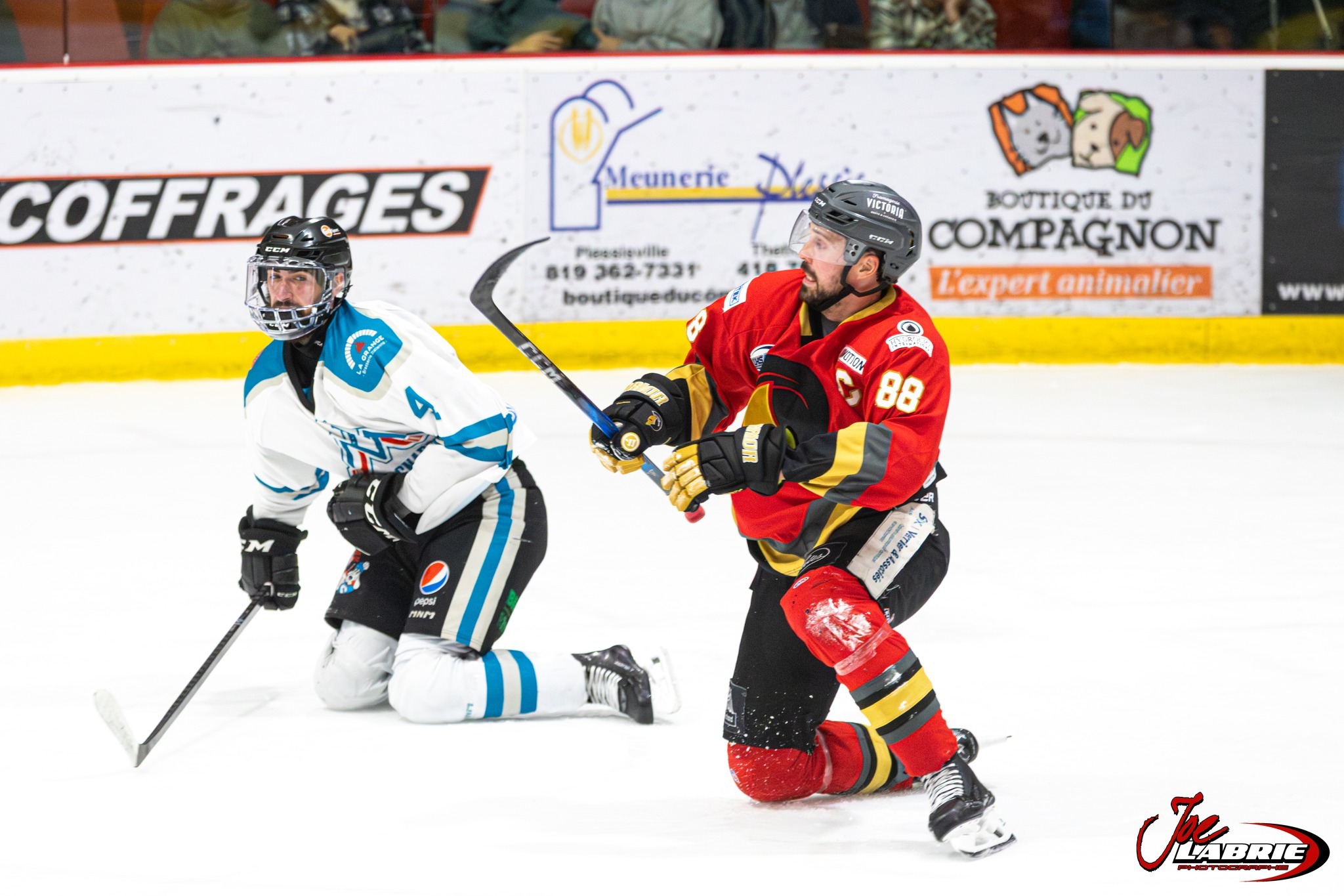 Le Métal Pless termine l'année avec un autre revers - La Nouvelle Union ...