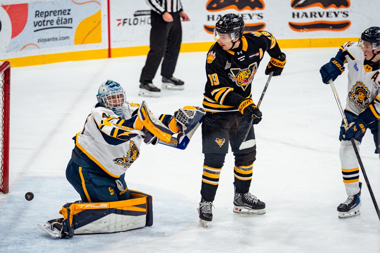 Les Cataractes doublent les Tigres - La Nouvelle Union et L’Avenir de l ...