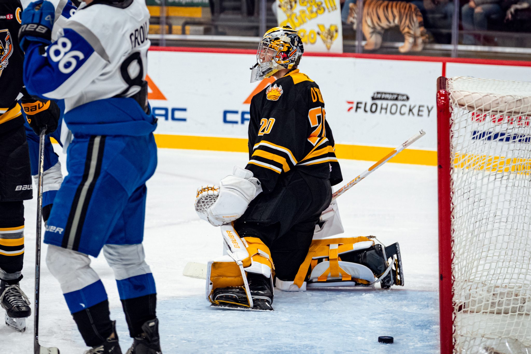 Les Tigres quittent Saint John avec une défaite - La Nouvelle Union et ...