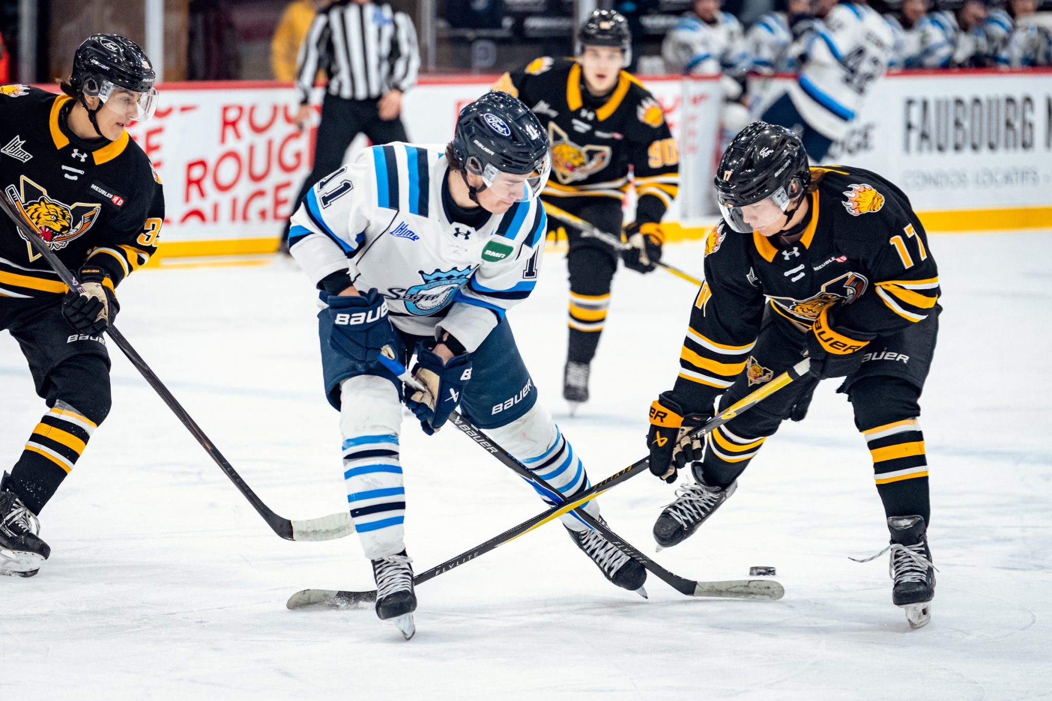 Les Tigres ne font pas le poids à Chicoutimi - La Nouvelle Union et L ...
